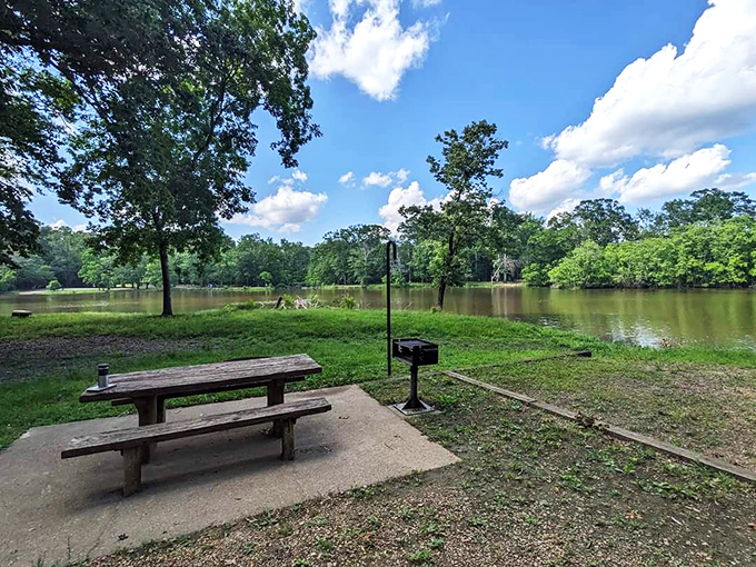 LeFleur's Bluff State Park: Urban escape artist! This lake hides in plain sight, offering a slice of wilderness therapy just minutes from downtown.