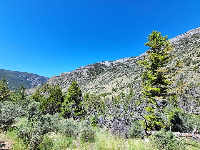 Montana's underground marvel! Lewis & Clark Caverns State Park offers mountain views that rival the spectacular formations below ground.