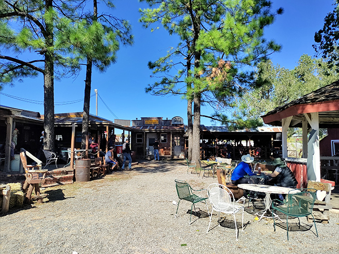 Mary's Swap Meet brings the outdoor market experience to life with vendors displaying wares under Oklahoma's big sky.