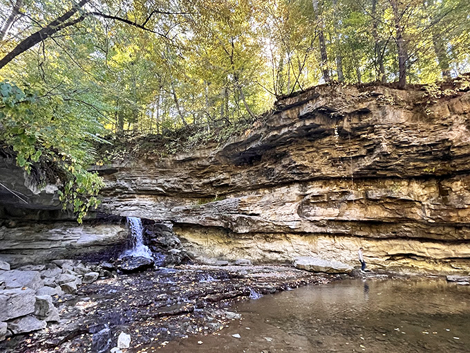 McCormick's Creek's limestone canyon reveals Indiana's hidden geological drama. Nature's sculpture garden carved by patient waters.