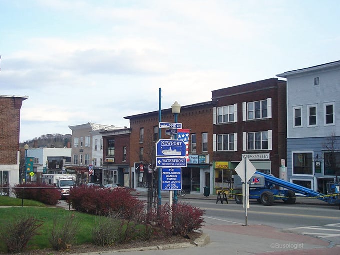 Newport's waterfront signs welcome budget-conscious Vermonters to a lakeside paradise where $1,200 a month feels surprisingly luxurious.