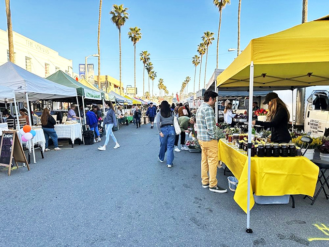 Ocean Beach's market transforms an ordinary street into a vibrant food festival under San Diego's perfect sky.