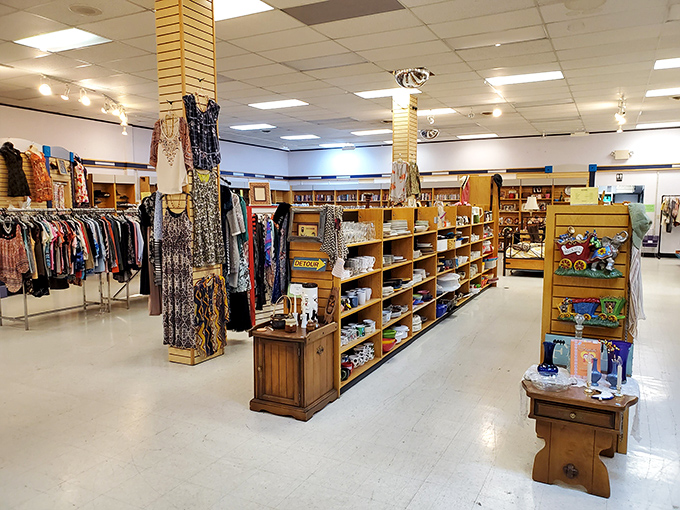 Rethink Thrift's bright interior proves that secondhand shopping can feel surprisingly upscale and inviting.