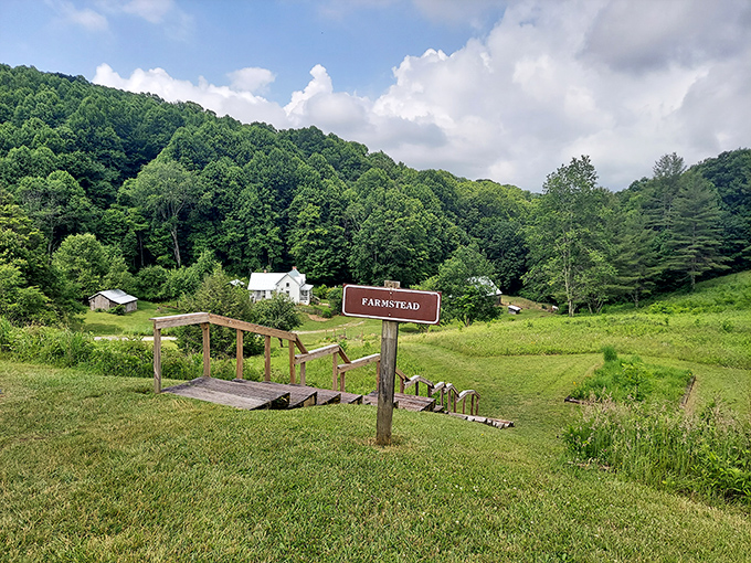 A charming farmstead nestled in rolling green hills tells stories of simpler times, when "streaming" just meant watching the creek flow by.