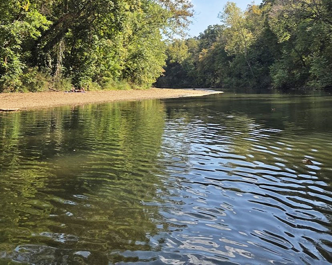 The Big River lives up to its name, carving through St. Francois State Park like nature's own highway. Perfect for floating adventures!