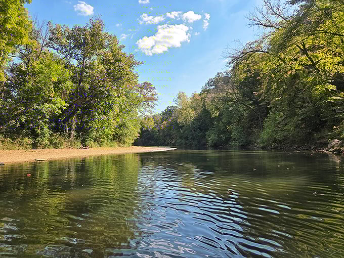 St. Francois State Park's hiking trails wind through forests that whisper stories of ancient times. The wooden bench invites contemplative sitting.