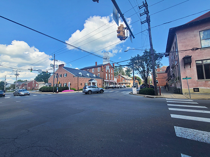Strasburg's rolling countryside provides the perfect backdrop for this horse-drawn buggy making its daily rounds.