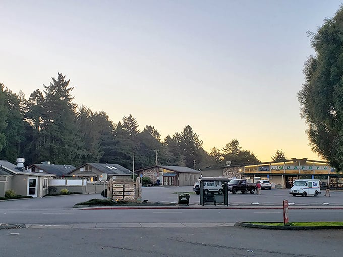 Trinidad's sleepy harbor view makes you wonder if time moves slower here, or if the clocks simply gave up and went fishing.