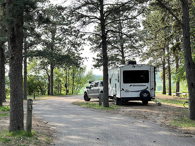 A simple wooden playground nestled among trees, where kids can burn energy while parents enjoy a moment of blessed quiet.