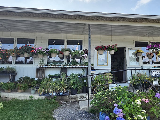 Weaver's Market looks like a garden center and bakery had a beautiful baby&mdash;and it smells even better.