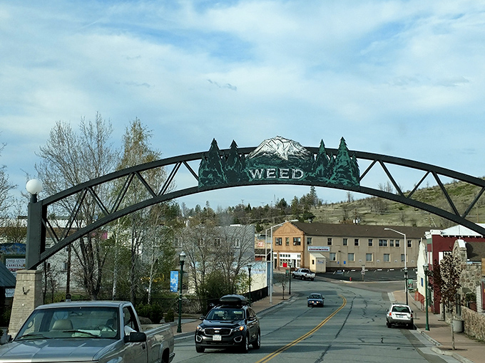 Welcome to Weed! Yes, that's really its name. The iconic arch greets visitors with a smile and inevitable photo opportunity.