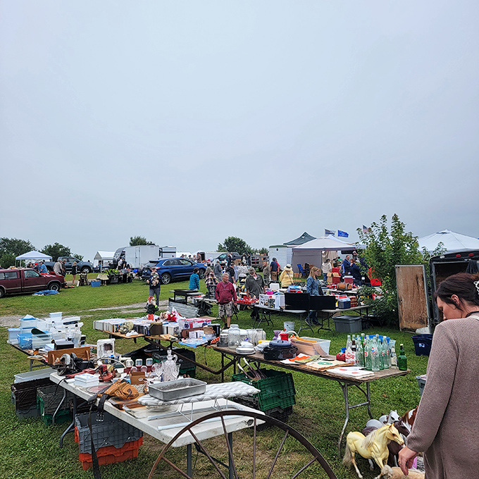 Rain or shine, Wright County Swappers Meet vendors display treasures on tables while shoppers hunt for bargains under cloudy Minnesota skies.
