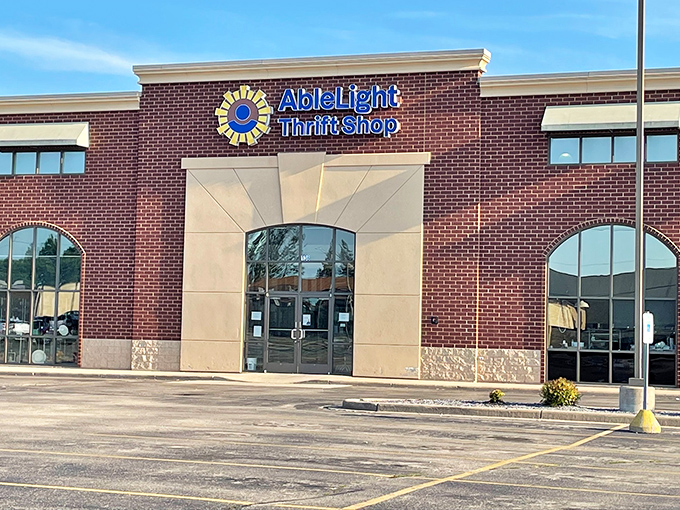 Professional lighting showcases treasures that make every shopping trip feel like a successful treasure hunt.