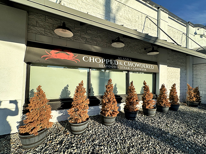 Row of evergreens standing at attention - nature's red carpet to chowder heaven!