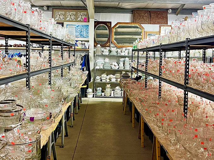 Crystal wonderland! Glass treasures sparkle under the lights, each piece waiting to become the conversation starter at your next dinner party.