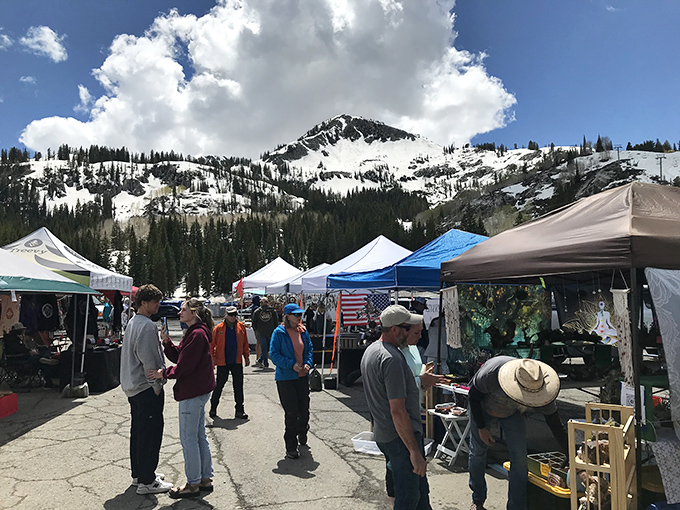 Snow-capped summits provide nature's most spectacular backdrop for this elevated flea market experience in Brighton.