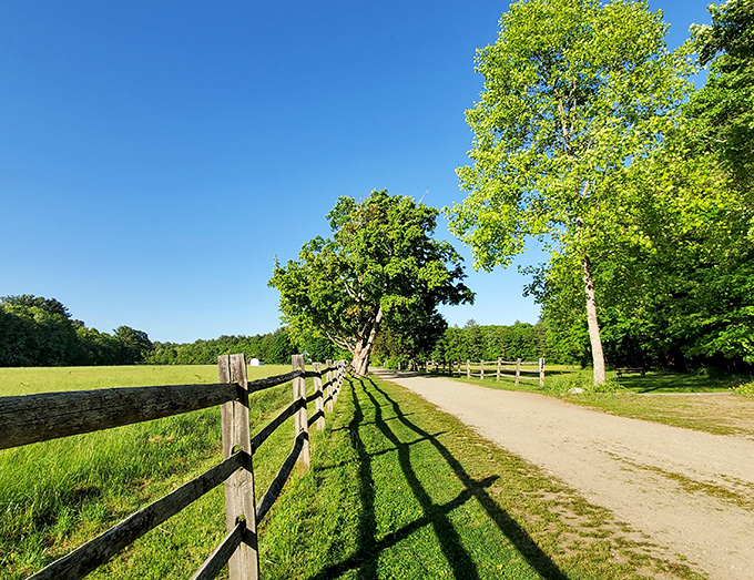 The simple beauty of the country road. A rough-hewn fence guides you past bright green pastures and into the welcoming shade of the trees under a vast blue sky.