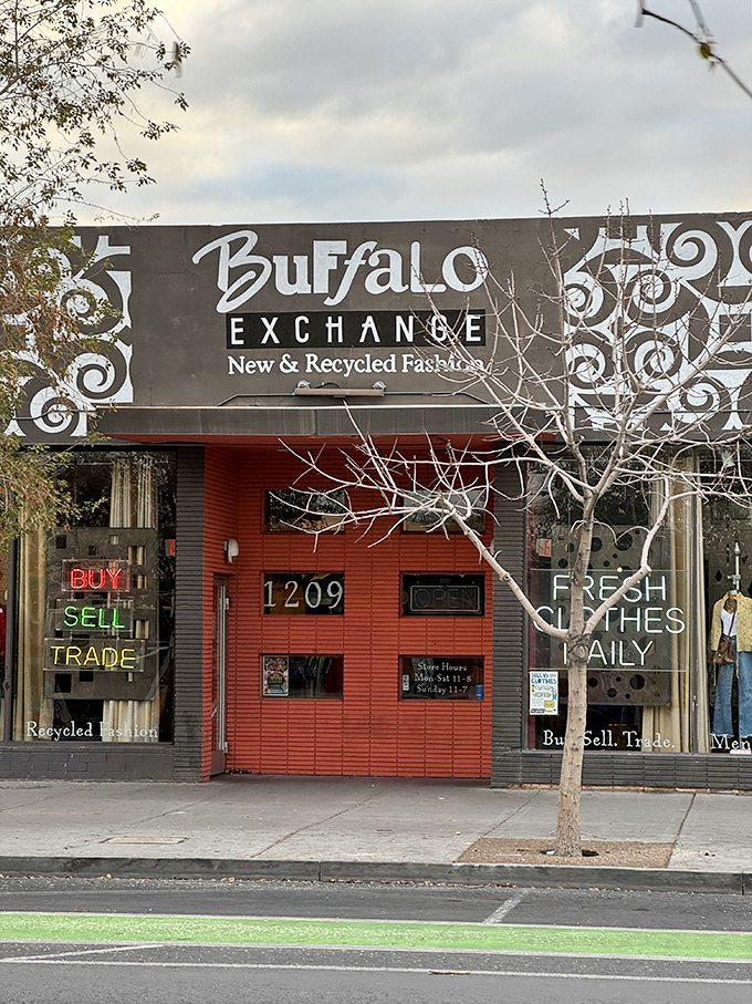Winter's bare branches frame Buffalo Exchange's buy-sell-trade paradise, where recycled fashion finds new life on Las Vegas's eclectic Main Street.