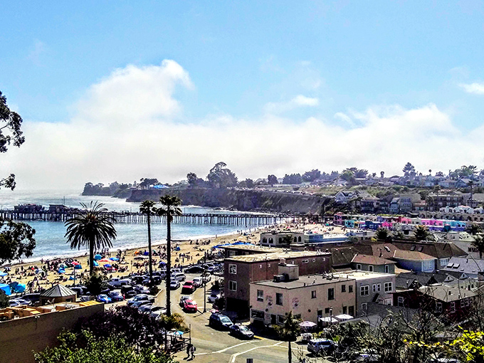 Pelicans and people share Capitola's waters in perfect harmony &ndash; one dives for lunch, the other for joy.