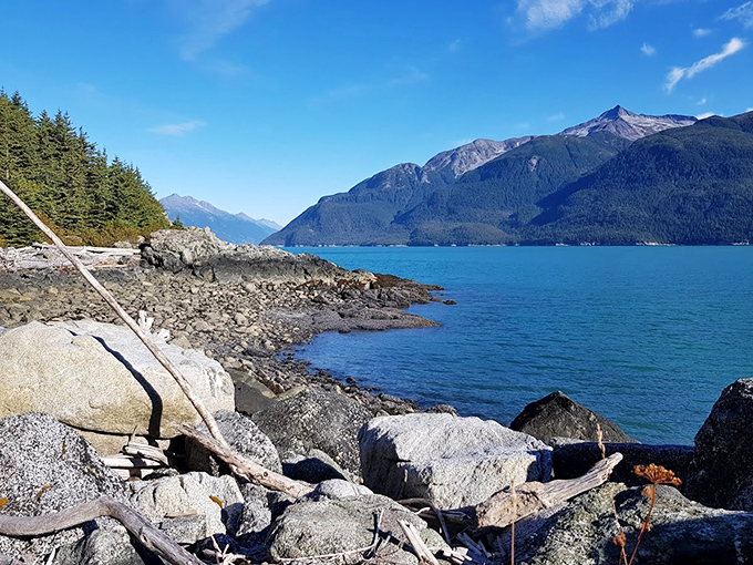 The rocky coastline whispers tales of tides and time, while mountains stand guard over Chilkat's blue-green waters.