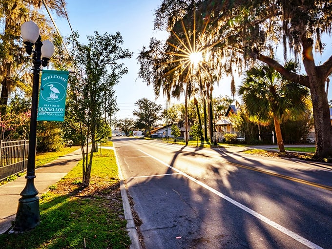 Dunnellon's tree-lined streets offer shade and serenity. The perfect setting for your retirement chapter.