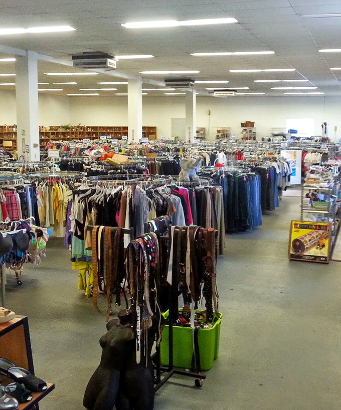 Spacious aisles and organized chaos - the hallmarks of a serious thrift store where treasures hide in plain sight.
