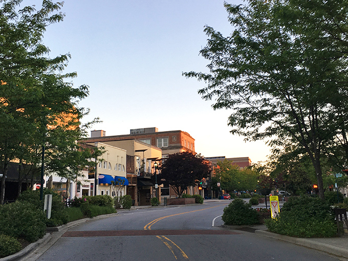 Hendersonville's tree-lined streets create a perfect canopy for exploring shops and restaurants at your own pace.