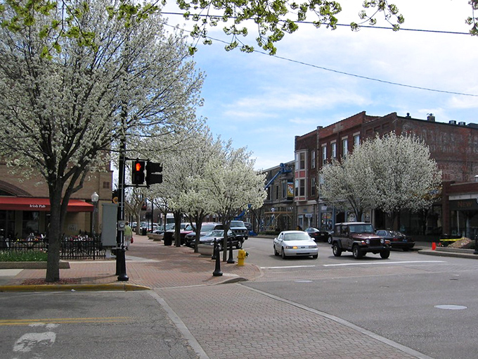 Winter-bare trees line Holland's charming main street. Come back in May when tulips transform this scene into a Dutch painting come to life.