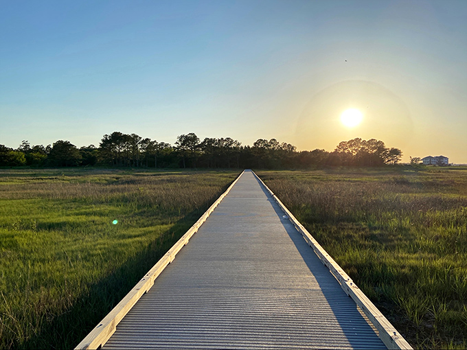 This boardwalk at Holts Landing isn't just a path&mdash;it's a front-row seat to nature's daily performance.