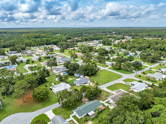 Homosassa Springs' elevated view reveals a community where nature and neighborhoods blend in perfect Florida harmony.