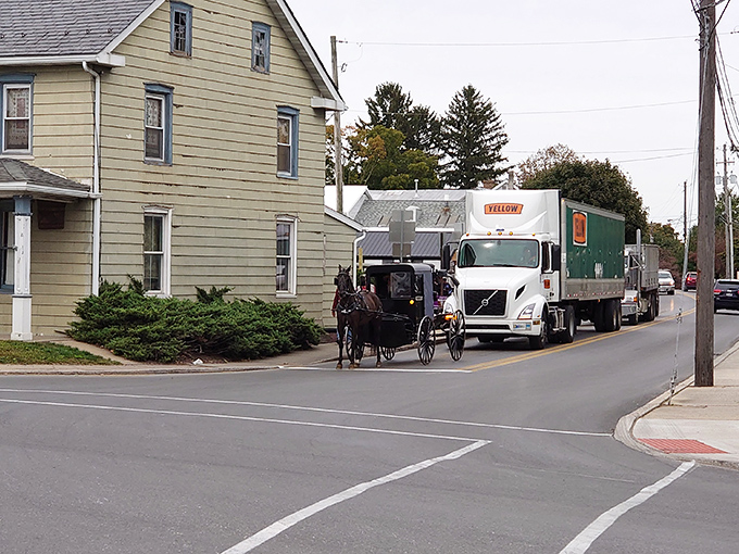 Amish buggies share the road with modern traffic, creating a fascinating dance between past and present.