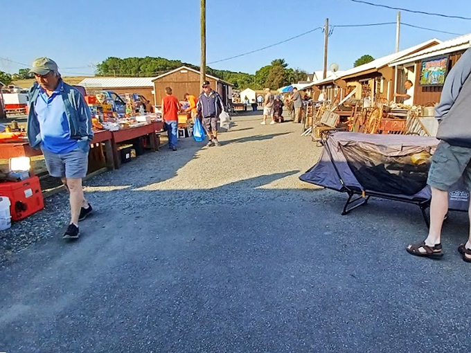 Browsers stroll between vendor tables as the morning sun illuminates a treasure hunter's paradise. The thrill of the hunt is palpable!