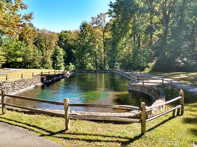 This natural spring pool stays perfectly cool, like having your own private air conditioning system outdoors.
