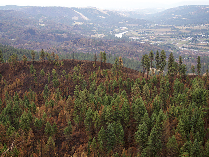 Where the Clearwater River meets budget-friendly living &ndash; Kamiah offers natural wealth even when your Social Security is modest.