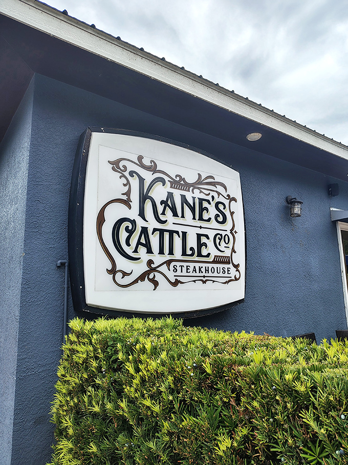 The unassuming blue exterior of Kane's hides a carnivore's paradise that locals would prefer you didn't know about.