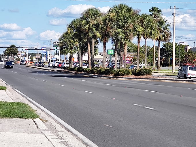 Towering oaks and colorful storefronts make every drive through Lake City feel like a scenic discovery.