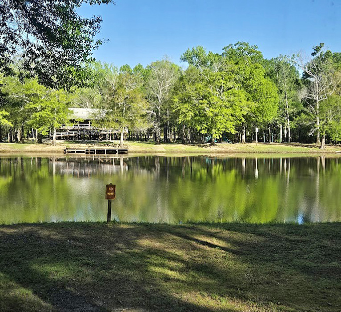 LeFleur's Bluff State Park: Golden hour transforms this ordinary picnic spot into a masterpiece. Even the ducks look impressed with the view!