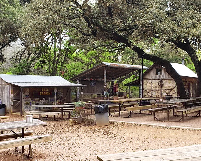 Live music venues and open-air gathering spots create a laid-back atmosphere under ancient oak trees.