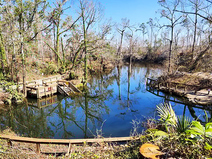 Nature's swimming pool doesn't get better than this. Madison Blue Spring makes the Caribbean look like it's trying too hard.
