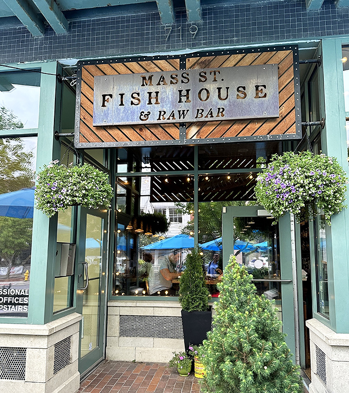 Hanging plants frame the entrance to this Lawrence gem like a portal to seafood nirvana. Raw bar dreams in the middle of the prairie!