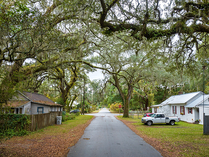 Spanish moss drapes over Milton's quiet streets like nature's own welcome sign. This is old Florida charm at its most authentic!
