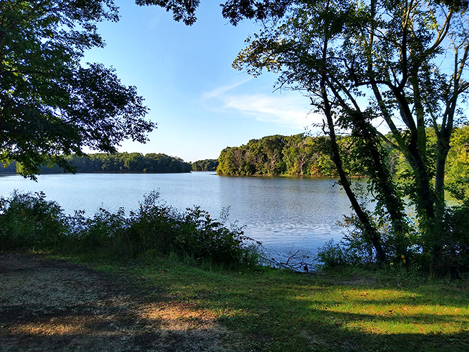 Moraine View's glassy waters mirror the sky like nature's perfect selfie. The kind of calm that makes your blood pressure drop on sight.