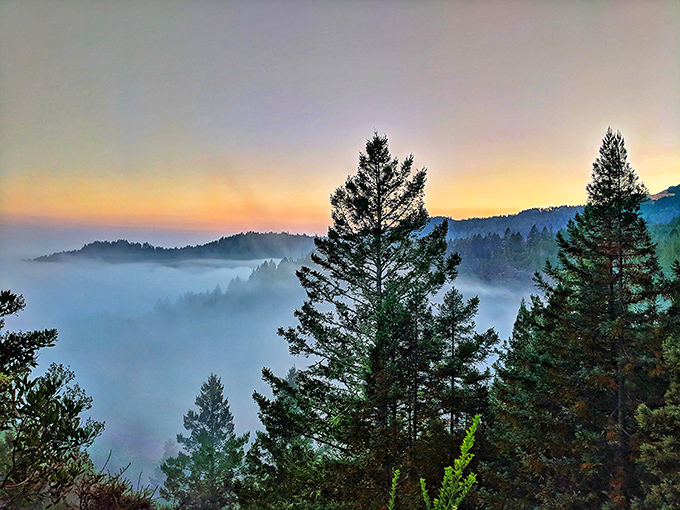 Dawn breaks over layers of mist-filled valleys, making you feel like you're floating above the world below.