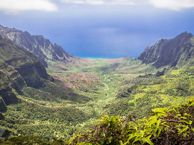 Nature's cathedral&mdash;where emerald valleys sweep down to meet the distant blue ocean. The kind of view that makes you forget about your inbox and remember what matters.