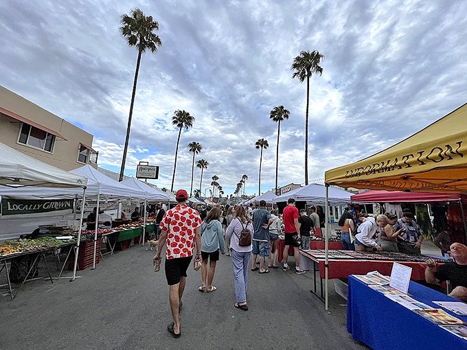 Palm trees and white tents create the quintessential Southern California farmers market scene at Ocean Beach.