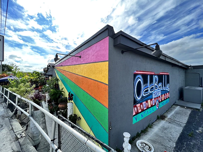 A rainbow explosion of color hints at the funky treasures inside. Oddballs lives up to its name with delightfully eccentric finds.