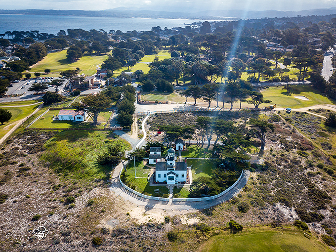Pacific Grove's butterfly sanctuary where nature's most delicate travelers choose to winter in absolute paradise.