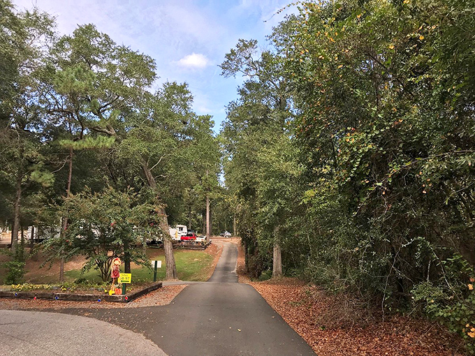 Perry's campgrounds offer a slice of peaceful Georgia living where your biggest expense might be an extra s'more or two.