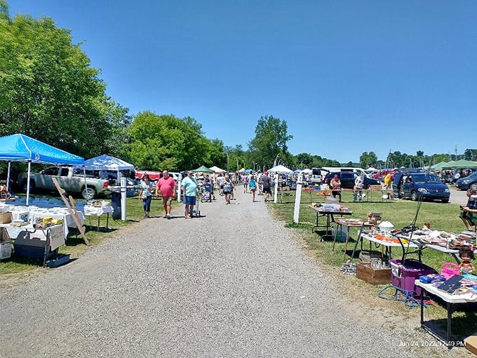 Summer treasure hunting in full swing. Colorful tents and eager shoppers create the perfect recipe for flea market magic under clear blue skies.