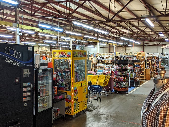 Colorful toy machines and organized displays create a nostalgic atmosphere perfect for discovering childhood memories and treasures.